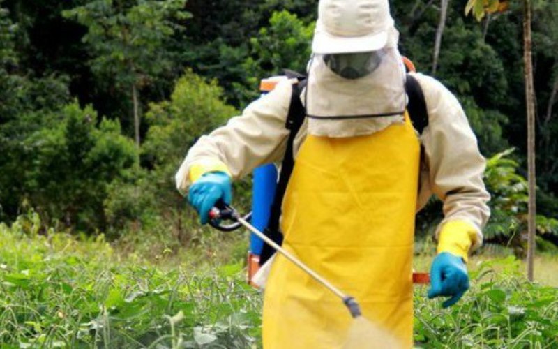 Fatos que as pessoas deveriam saber sobre os defensivos agrícolas ... Fatos que as pessoas deveriam saber sobre os defensivos agrícolas ...