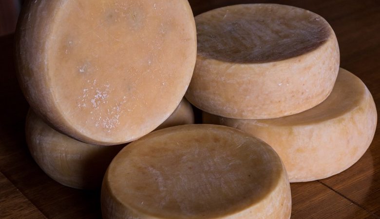 Queijo artesanal serrano conquista IG Campos de Cima da Serra ...