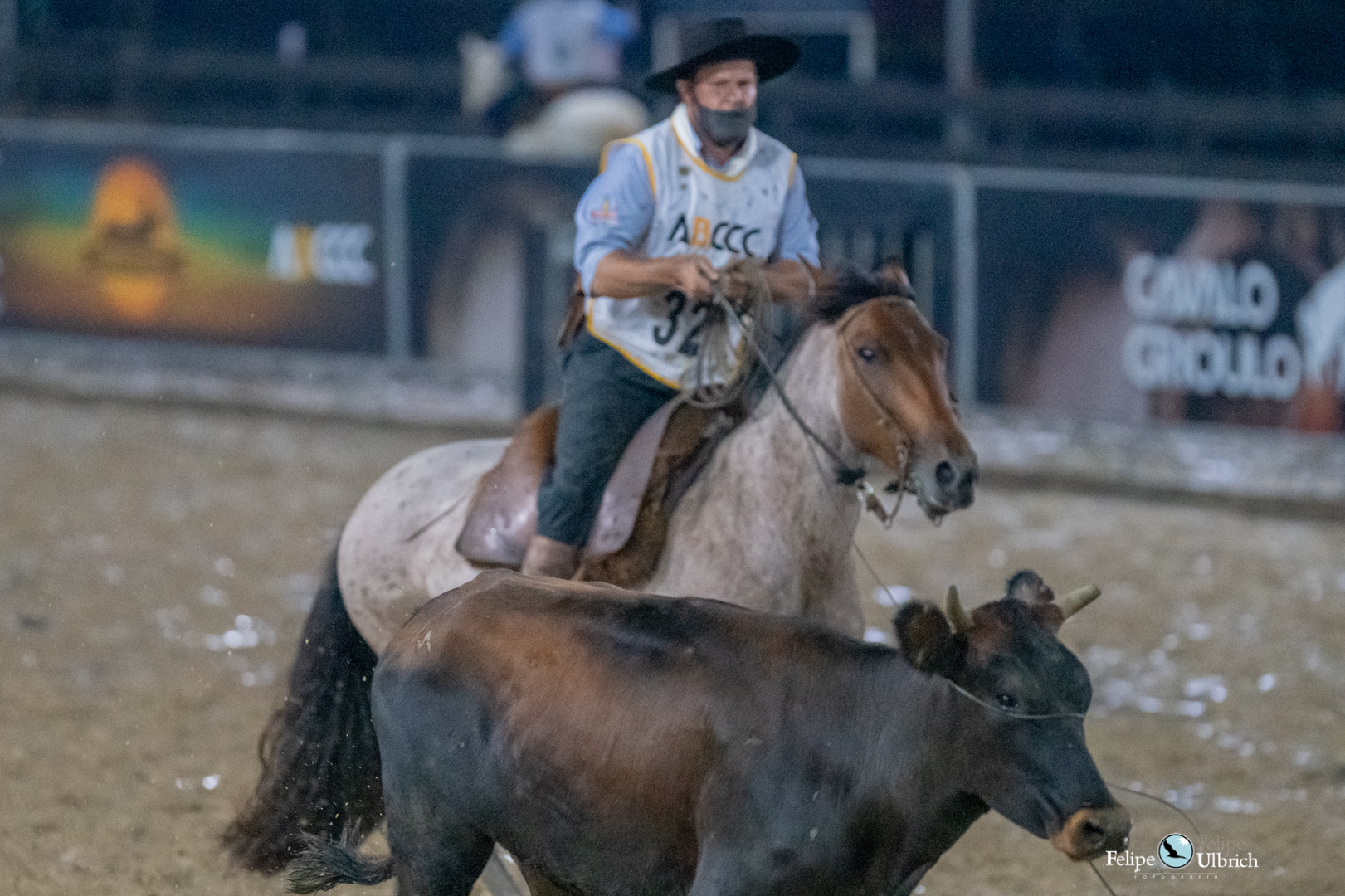 Crioulaço: as novidades da primeira Final da raça em 2022 – radiosul.net