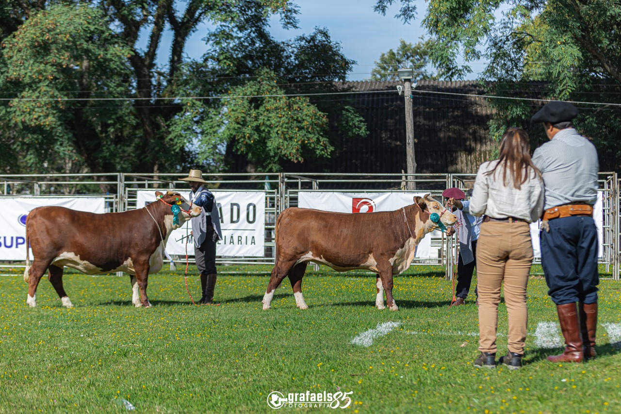 Definidos os jurados para a Exposição Nacional e Expointer 2024 ...
