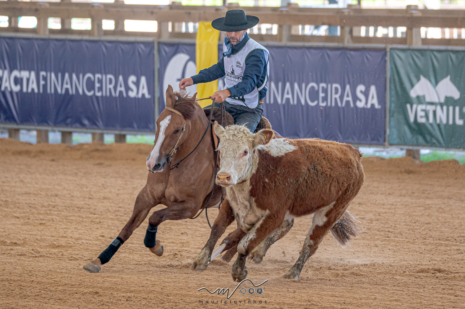INSCRIÇÕES ABERTAS: Vaquero/Working Cow Horse, Movimiento a La Rienda e ...