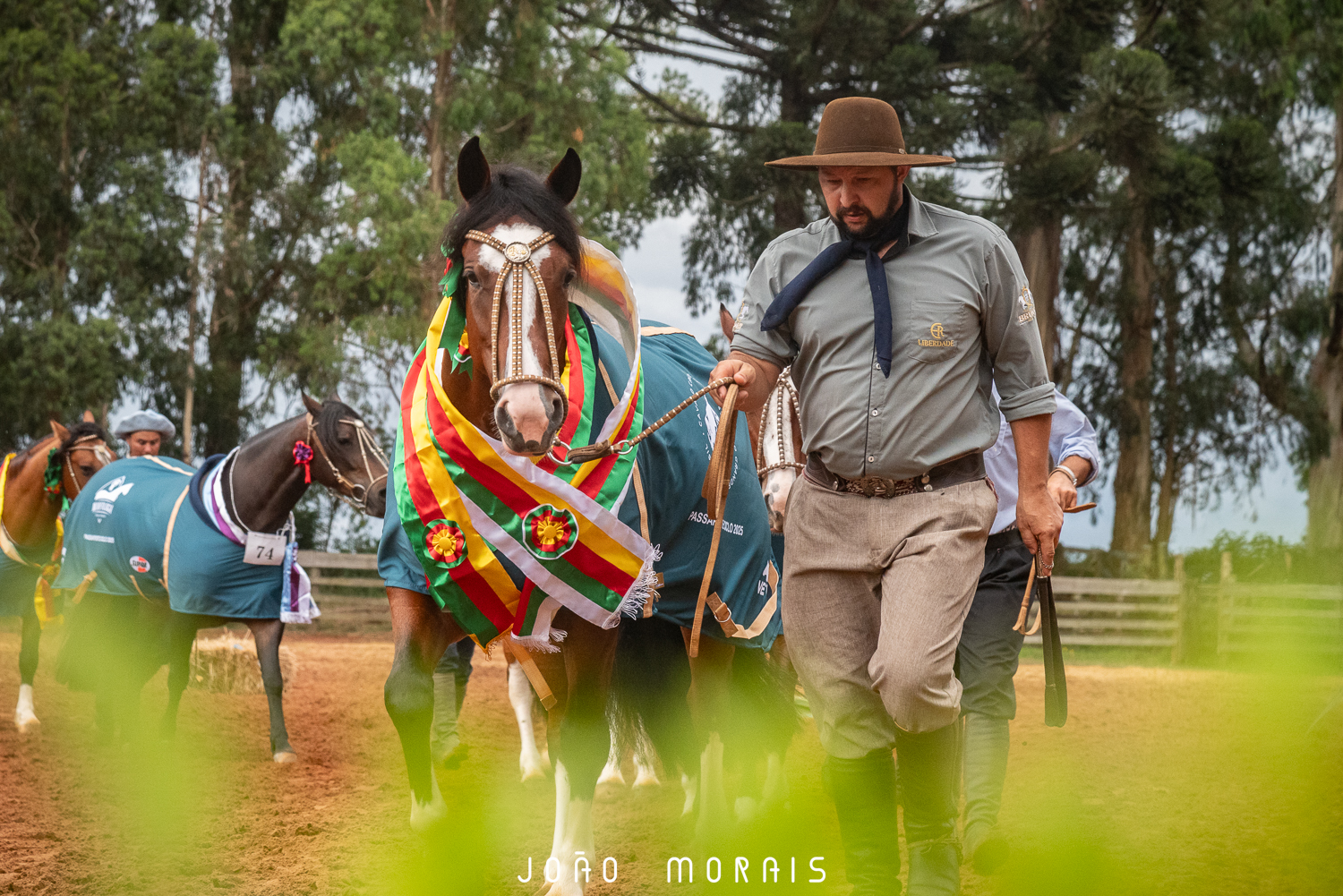 Nível Esteio: Nucleo Biriva realiza passaporte e seleciona finalistas ...