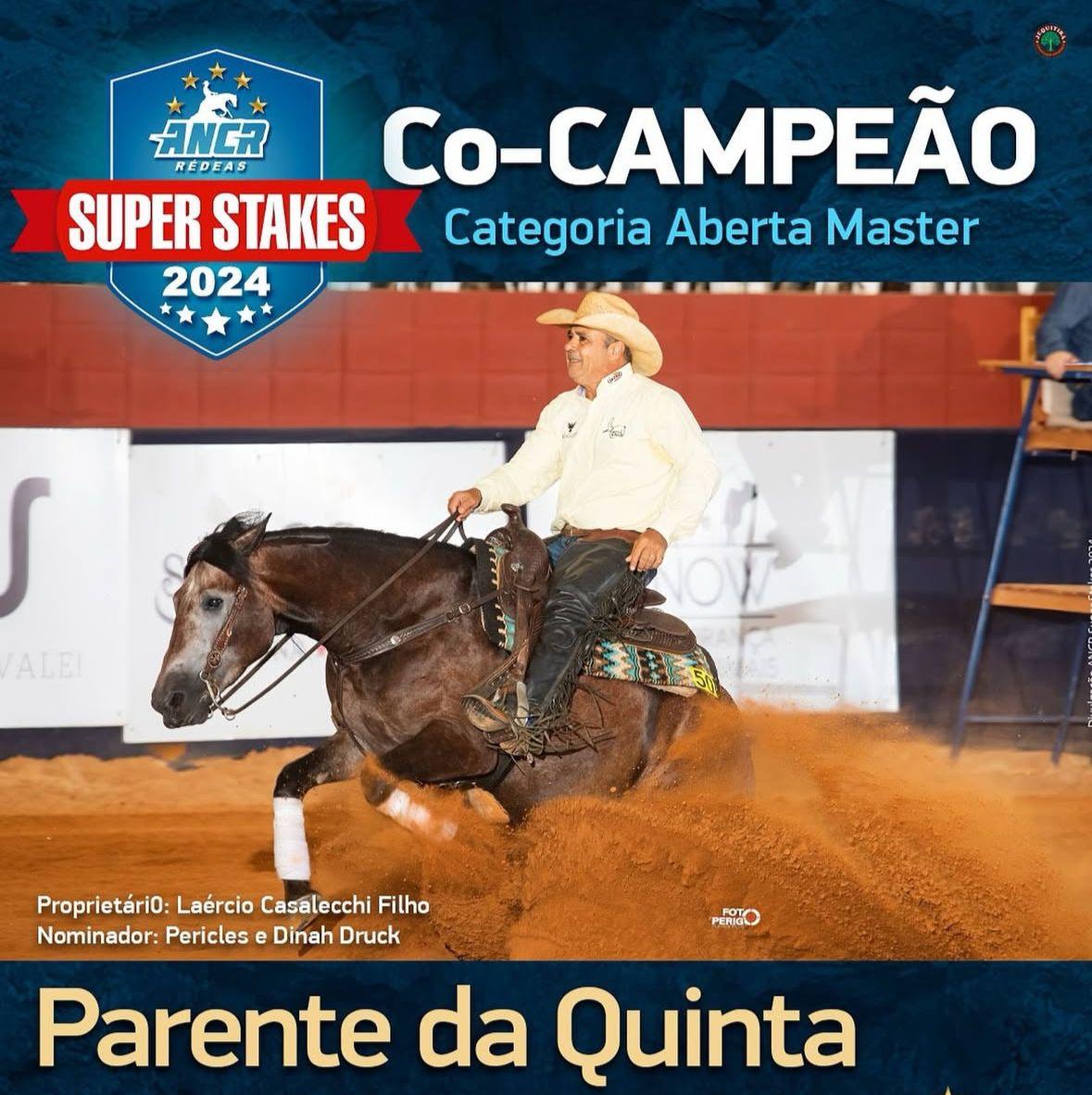 Sangue Campeão: filho de Jalisco da GAP São Pedro se destaca no Super Stakes – radiosul.net